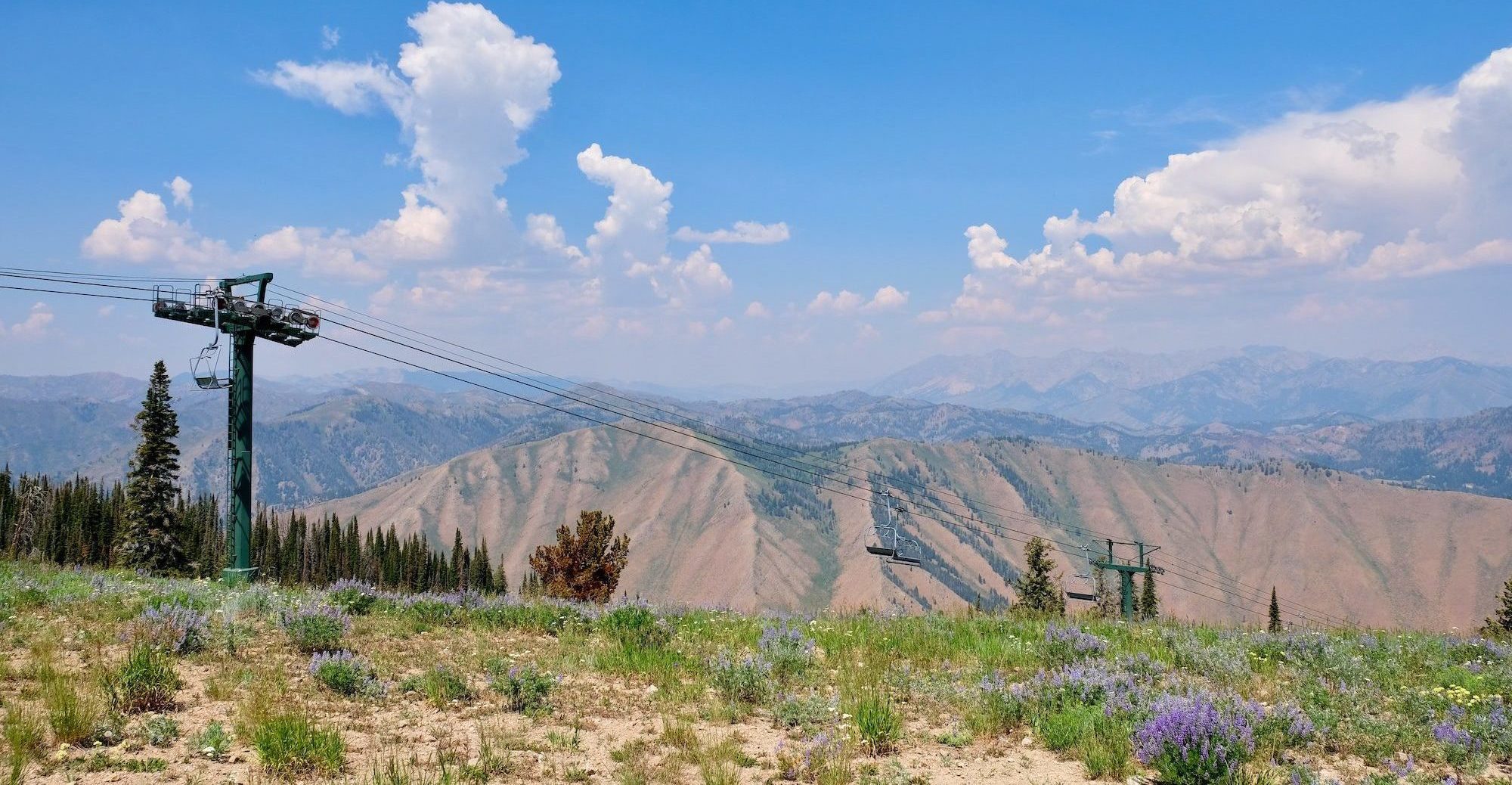 Accidentally Wes Anderson