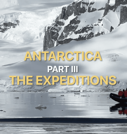 The Seventh Continent | Accidentally Wes Anderson