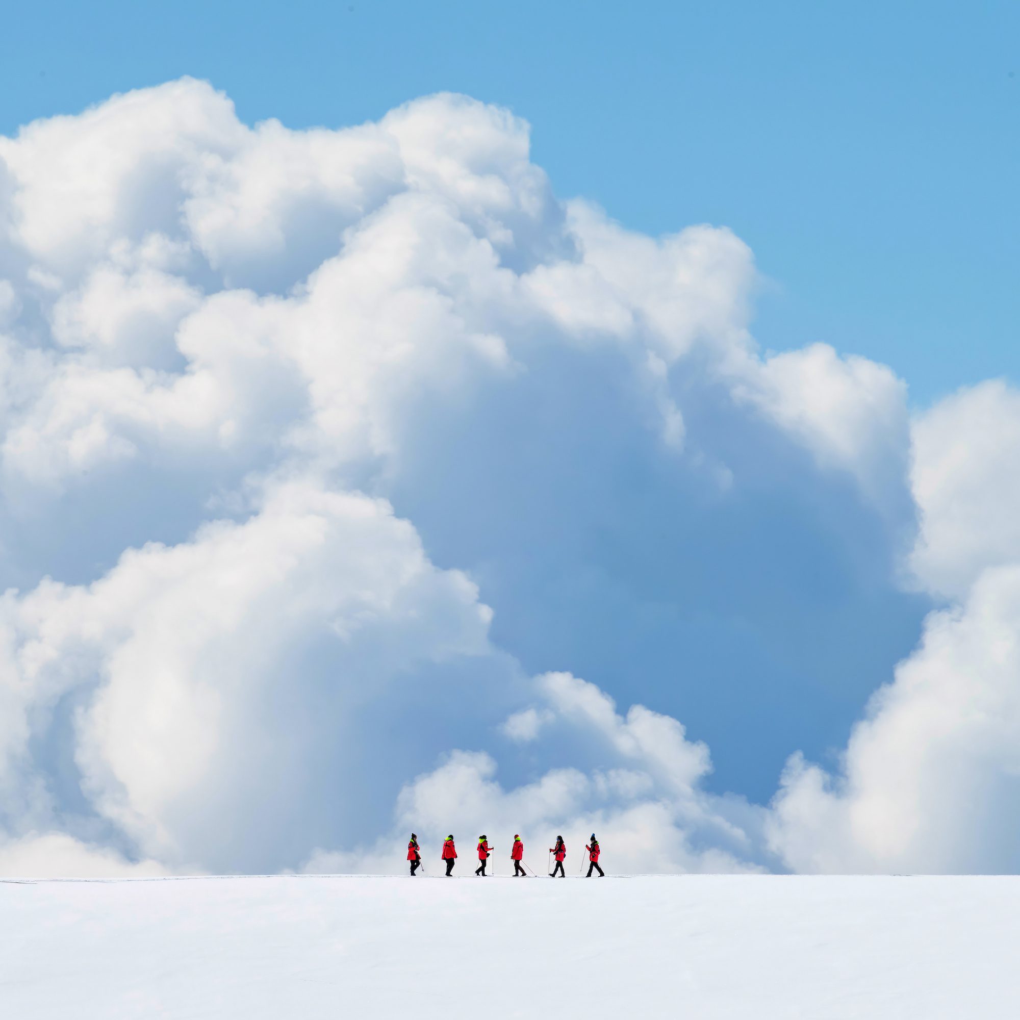 The Seventh Continent | Accidentally Wes Anderson