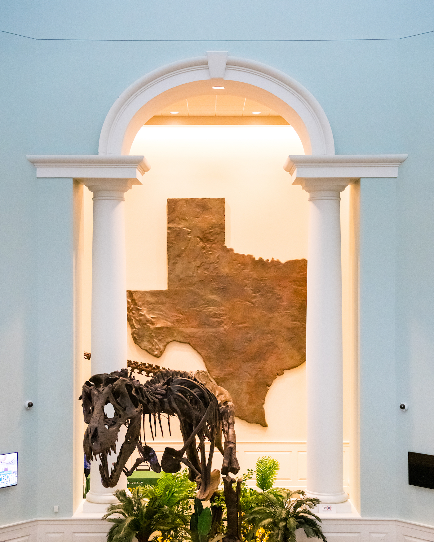A Camping Guide to Texas | Accidentally Wes Anderson