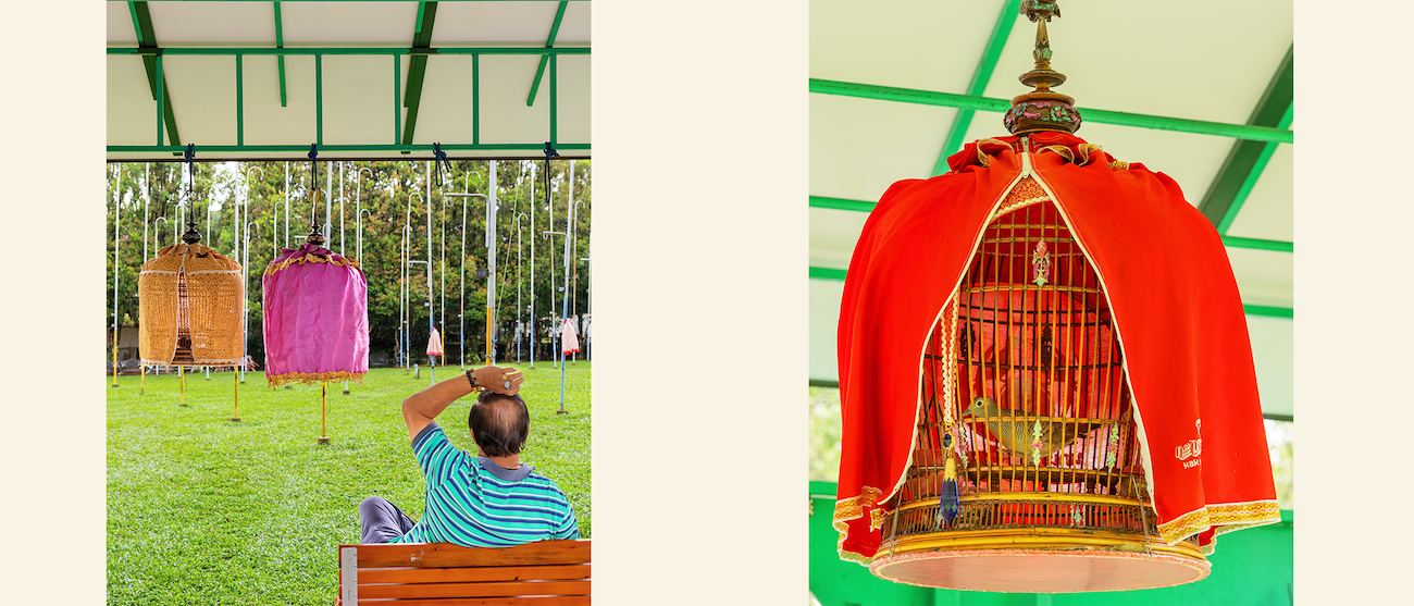 High Notes on High Poles | Accidentally Wes Anderson